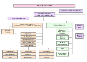 Organogram – St. Mary’s Hospital Lacor